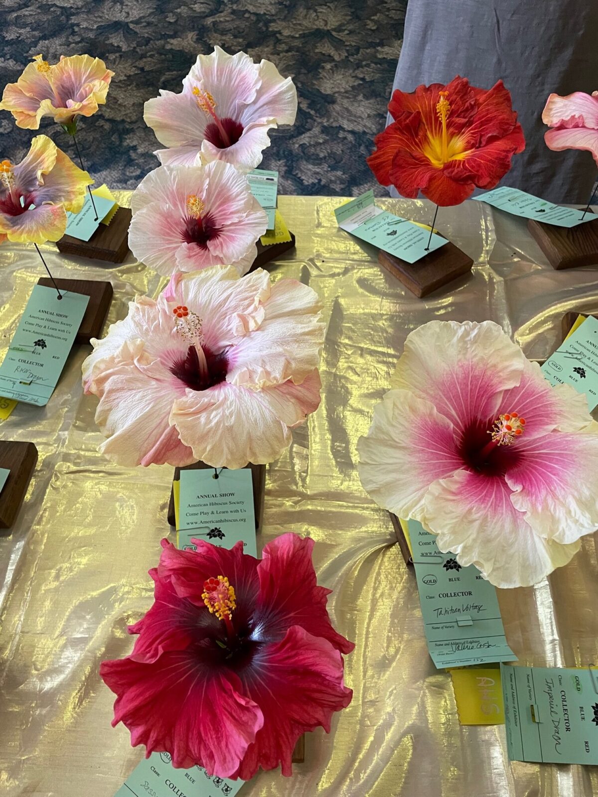 Hibiscus Event at Rotary Park 2025 - James E. Hendry